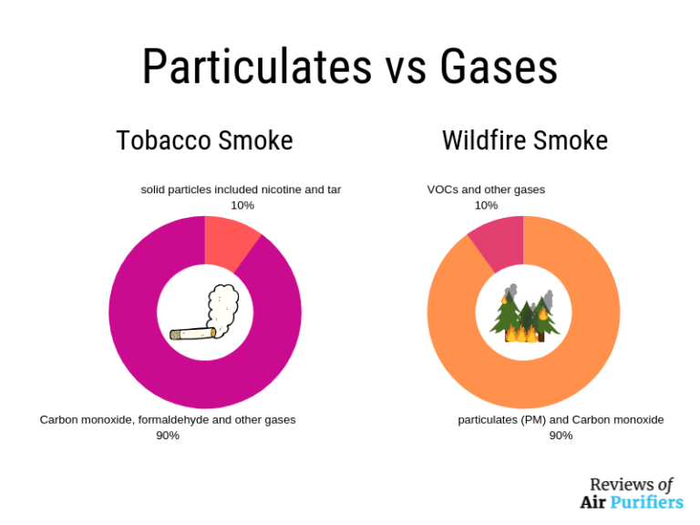 How Wildfires Affect Air Quality? – Smart Air