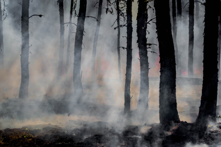 3 Tips to Protect Yourself From Wildfire Smoke – Smart Air