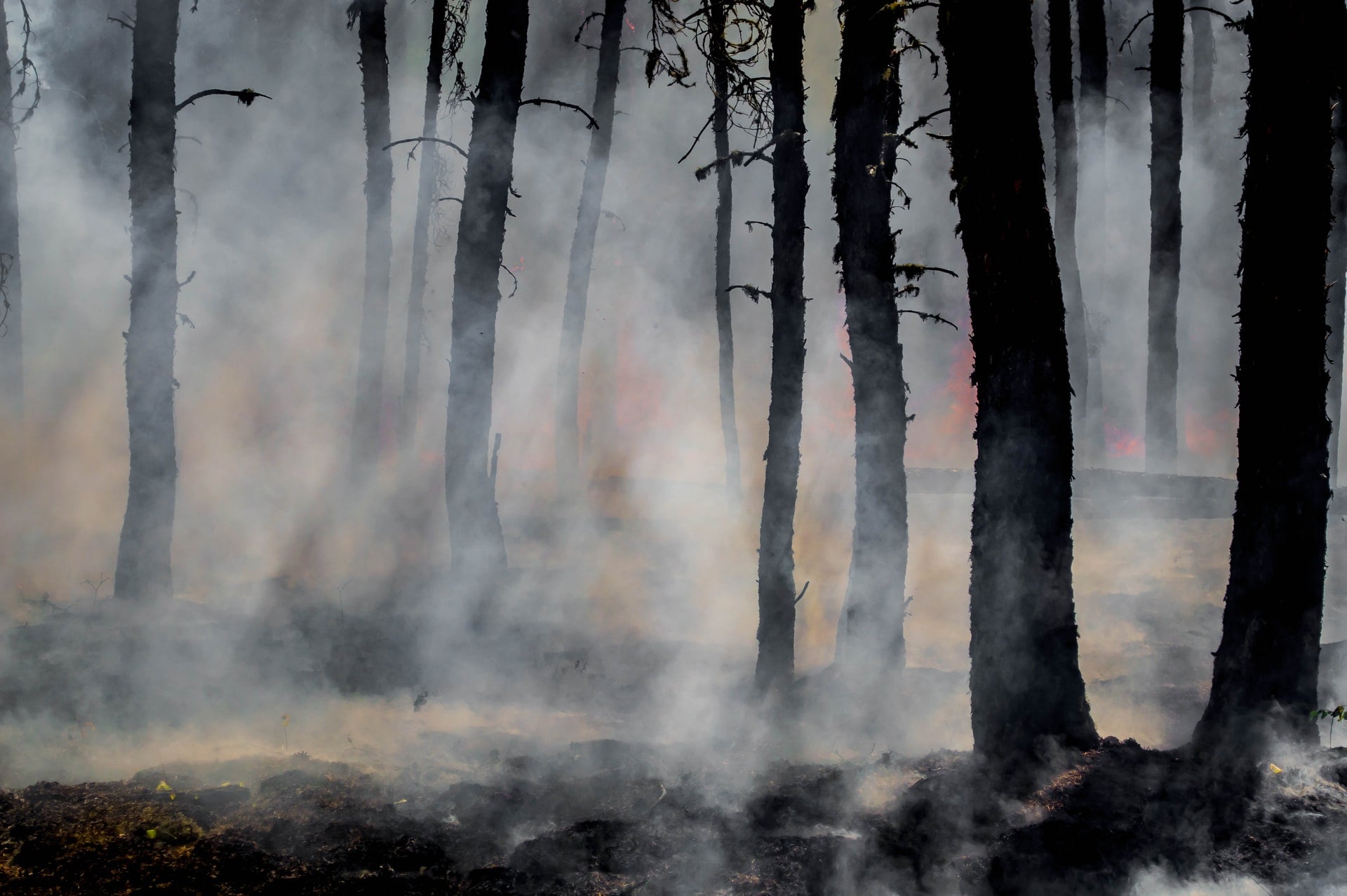 3 Tips to Protect Yourself From Wildfire Smoke – Smart Air