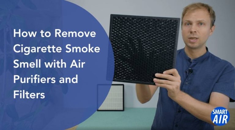Best Cigarette Smoke Eliminator and Absorbers: How to Clean Cigarette ...