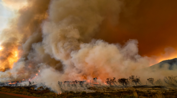 Wildfire Smoke 10x More Dangerous Than Typical PM2.5, Study Shows ...