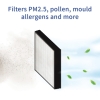 Overview: Types of Air Filters & What to Know – Smart Air